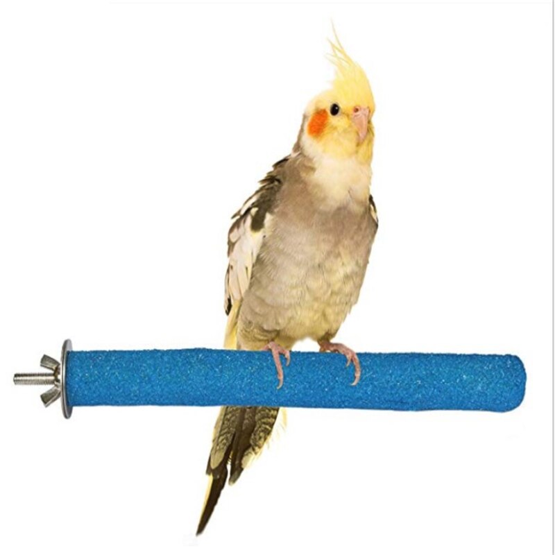 1PCS Pet Parrot Budgie Chew Bite Paw Grinding Rod ... – Grandado