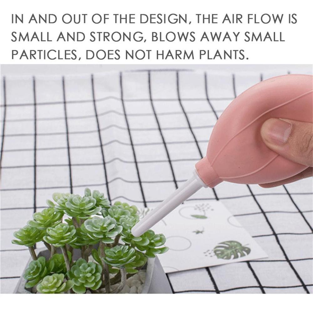 agriculture tools Gardening supplies, planting сем... – Grandado