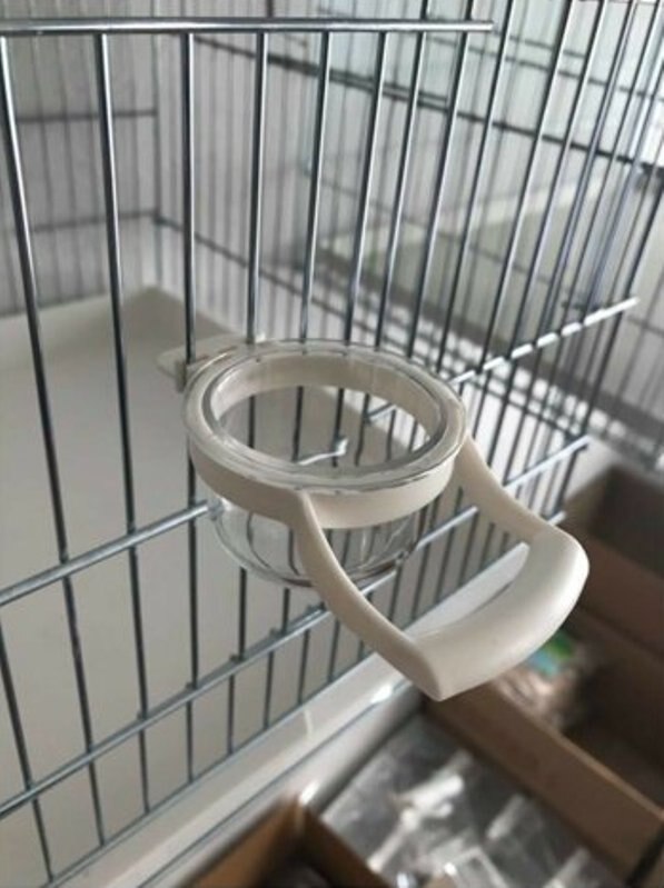 Birds For Handcuffed and Perched Transparent Infan... – Grandado