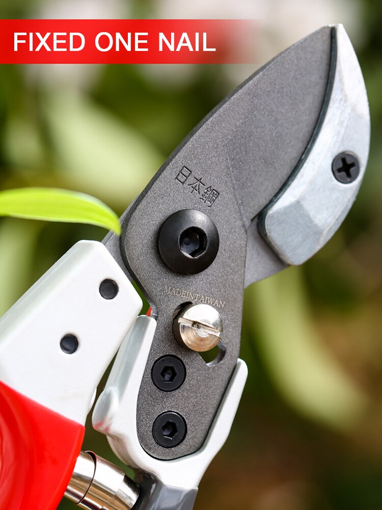 DTBD 7''/8'' Plant trim horticulture Hand Shear Or... – Grandado