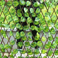 Simulation Fence Artificial Privacy Fence Wall Pri... – Grandado