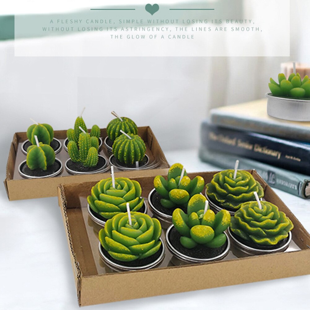 12pcs/set Baby Succulent Cactus Home Decor Events ... – Vicedeal