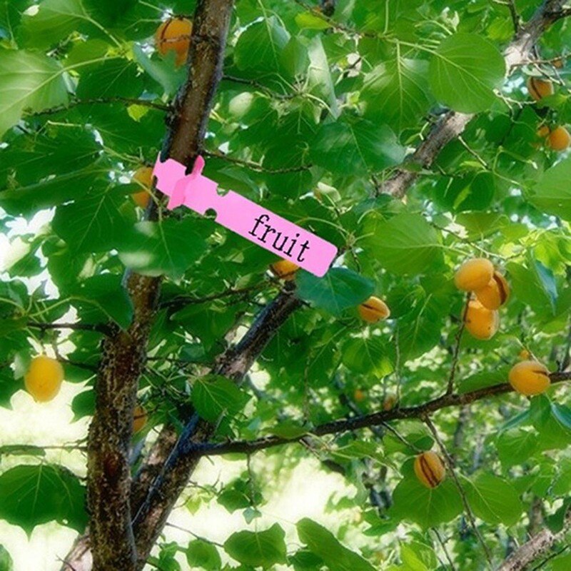 100PCS Gardening Garden Hang Tag Label Hanging Tre... – Vicedeal