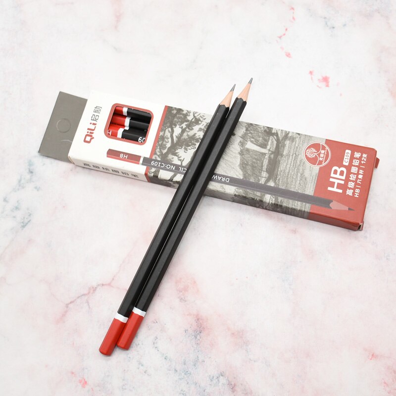 12pcs/box Graphite Pencil Sketch Drawing Writing H... – Grandado