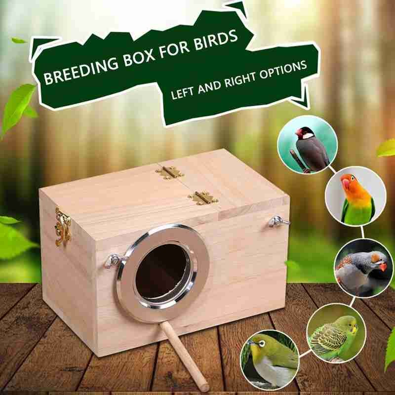 Parrot Breeding Box For Lovebirds Parrotlets Matin... – Vicedeal