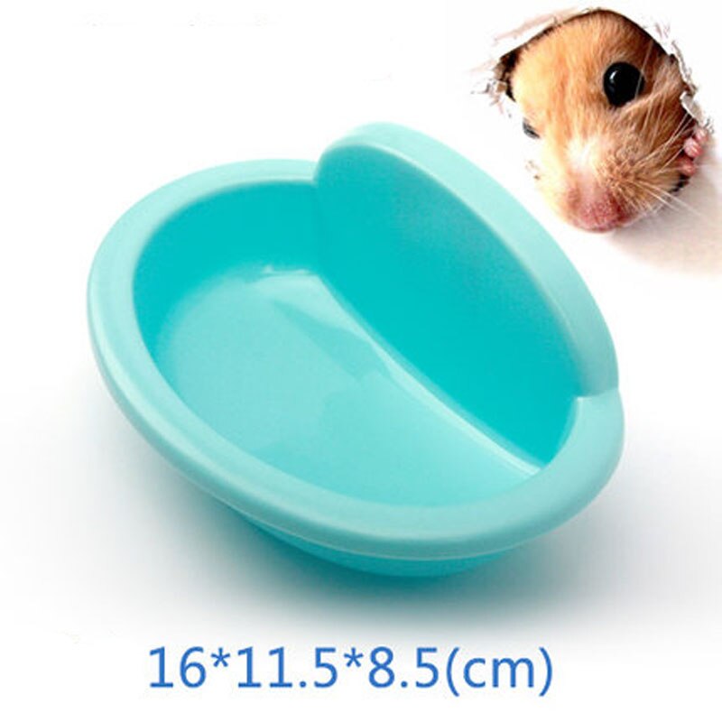 Big Size Candy Color Plastic Hamster Rabbit Guinea... – Grandado