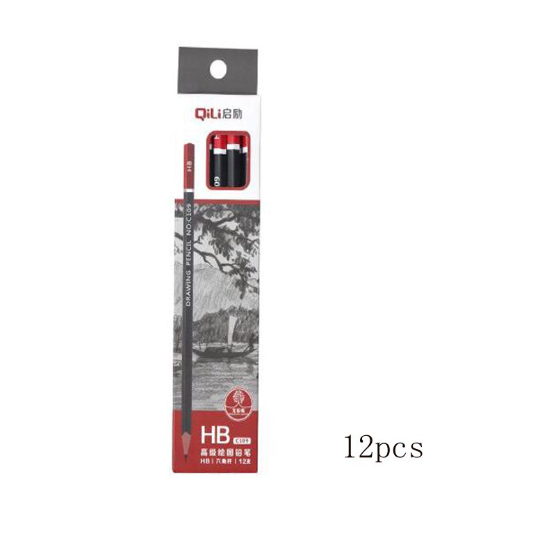 12 Stks/set Professionele Schets Tekening Potlood ... – Vicedeal