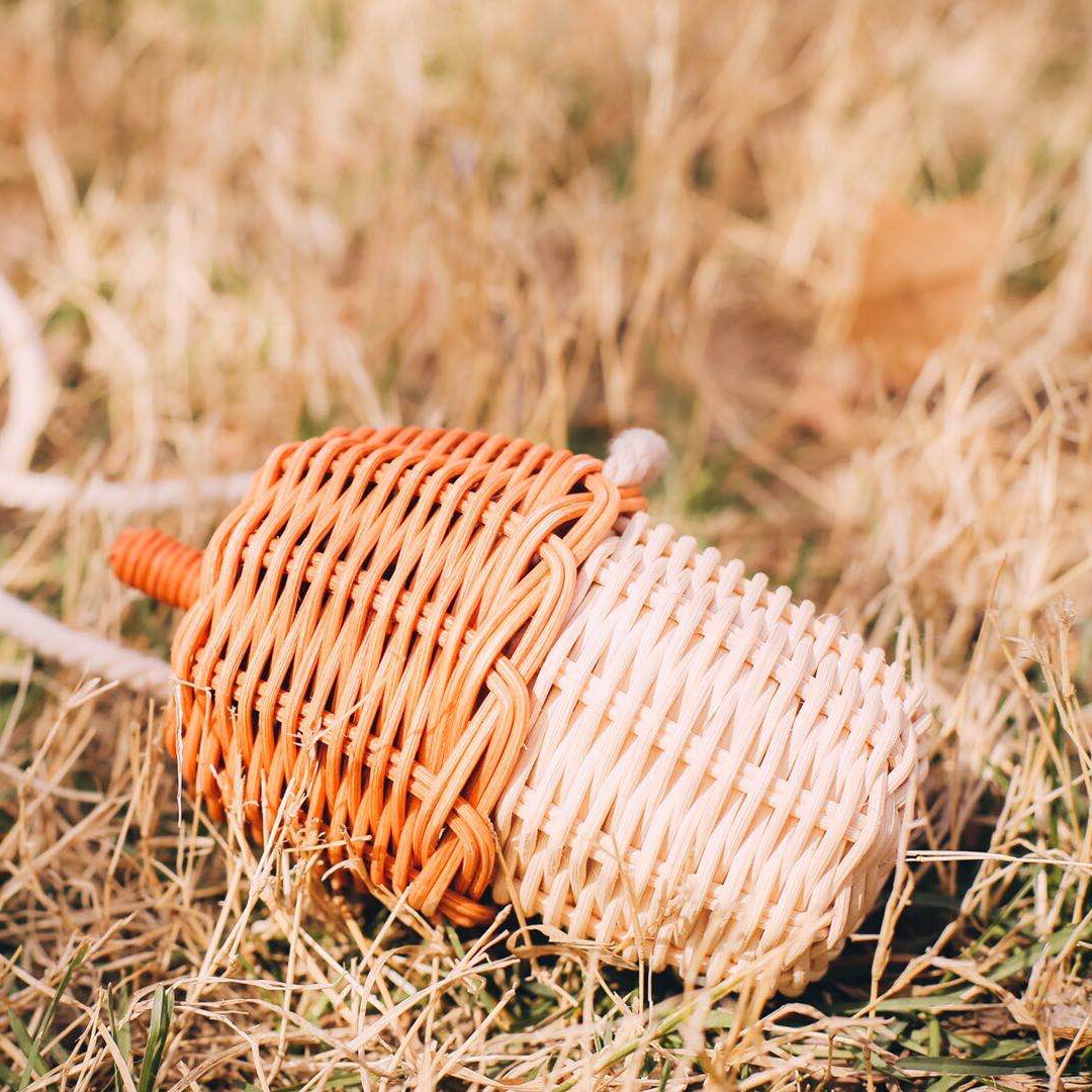 INS Rattan Bicycle Storage Basket Children Cute Pi... – Grandado