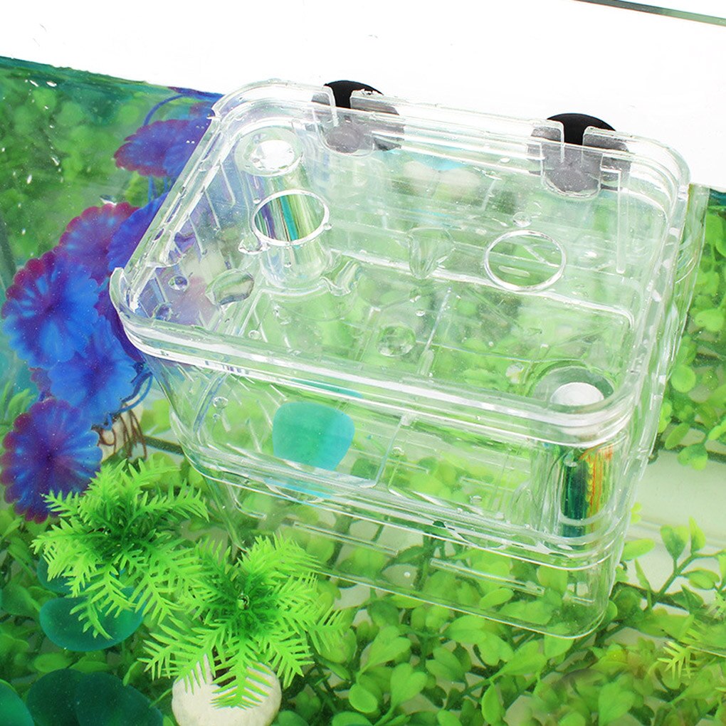 Aquarium Fish Breeder Box High Clear Double Hatchi... – Vicedeal