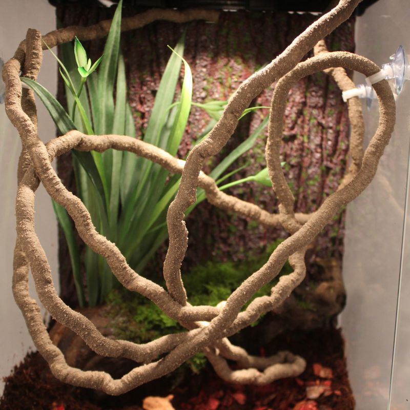 Reptile Rattan Chameleon Lizard Climbing Object Ra... – Vicedeal