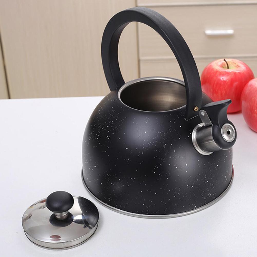 2.5l fluitketel met spray kleur roestvrij staal th... – Vicedeal