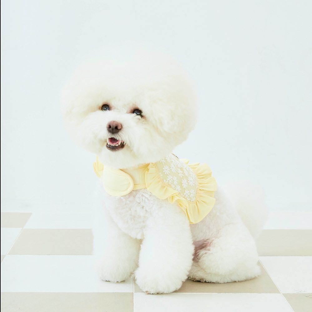 Dog Harness Vest Cute Pet Products Dog Supplies Ou... – Grandado