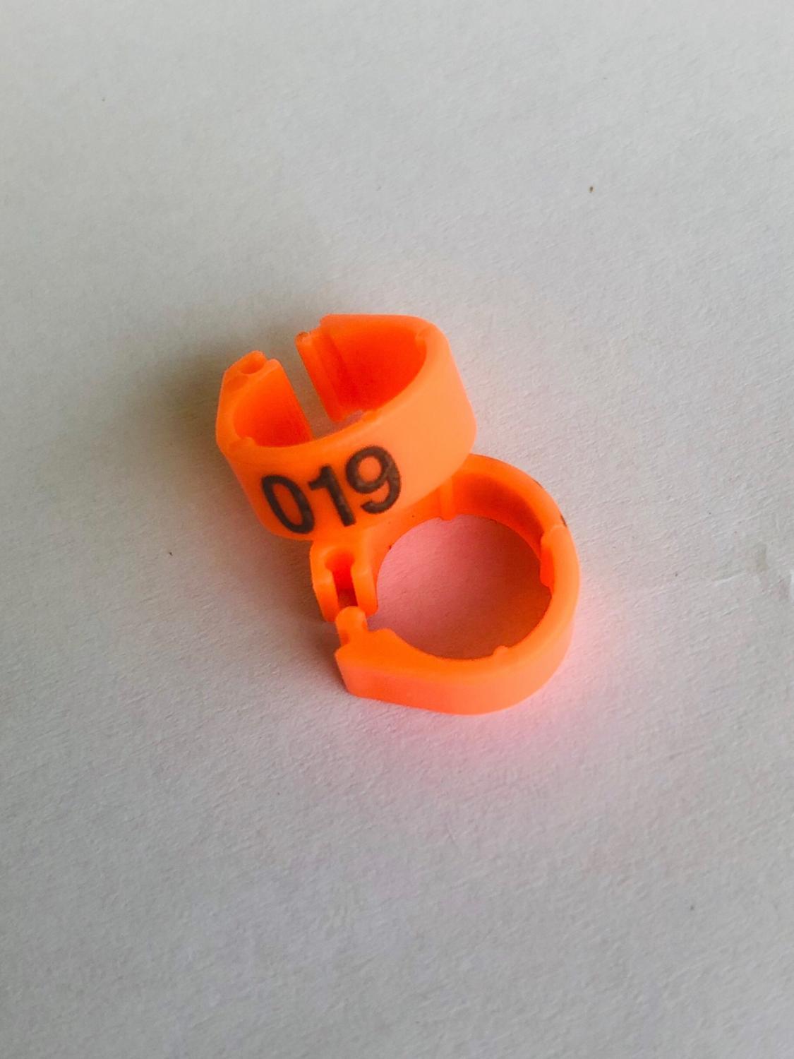 8mm Bird Dove Pigeon Plastic Leg Rings Custom Plas... – Grandado