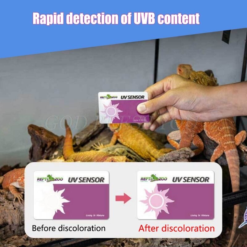 2 Pcs/set Reptile Terrarium UVB Test Card UV Light... – Grandado