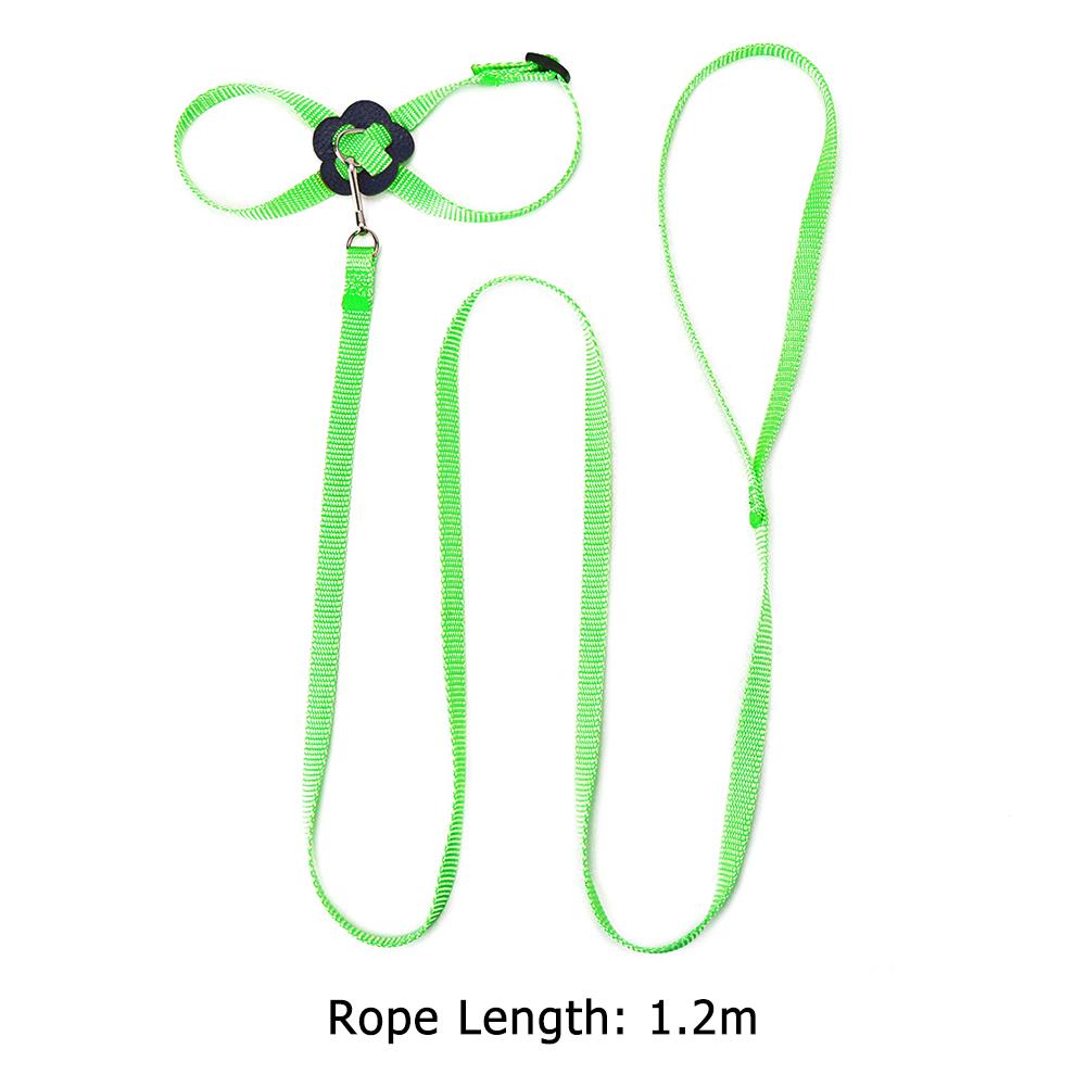 Nylon Long Collar Leads Auto Traction Ropes Parrot... – Vicedeal