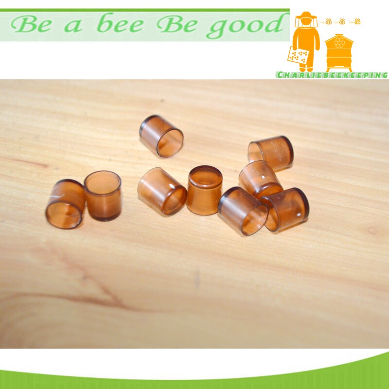 1000 Pieces Nicot Queen Cell Cups, Brown Color Que... – Vicedeal