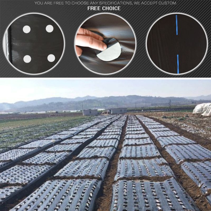 95cm x 10m 5 Holes Black Plastic Mulch Film Vegeta... – Vicedeal