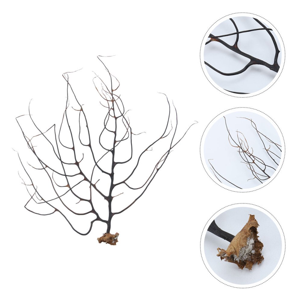 Black Sea Fan Fish Tank Aquarium Decoration Sea Co... – Grandado