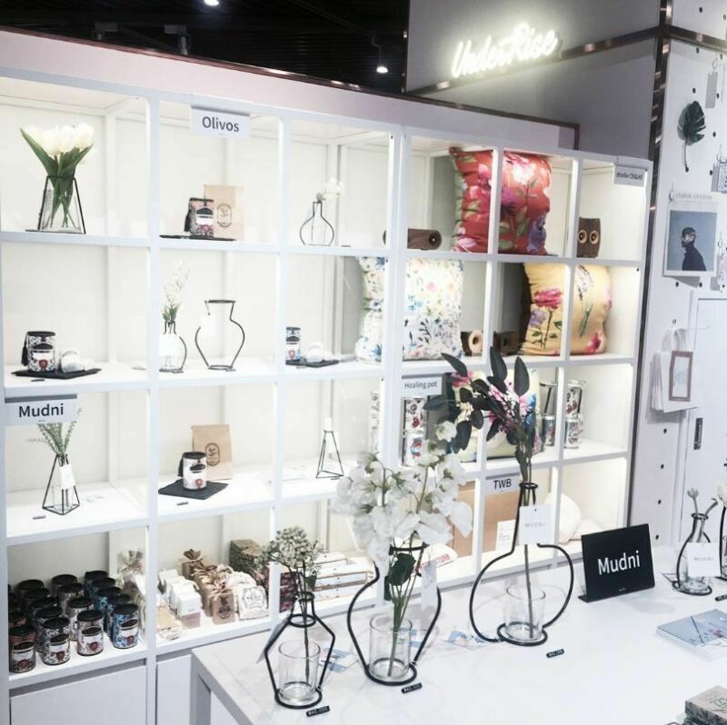 Family Plant Cages Support Minimalist Vase Flower ... – Vicedeal