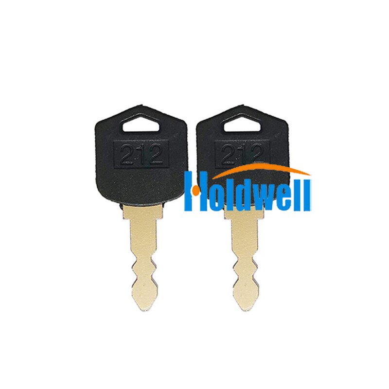 Holdwell 10 PCS 212 Ignition Keys D554212 for Doos... – Grandado