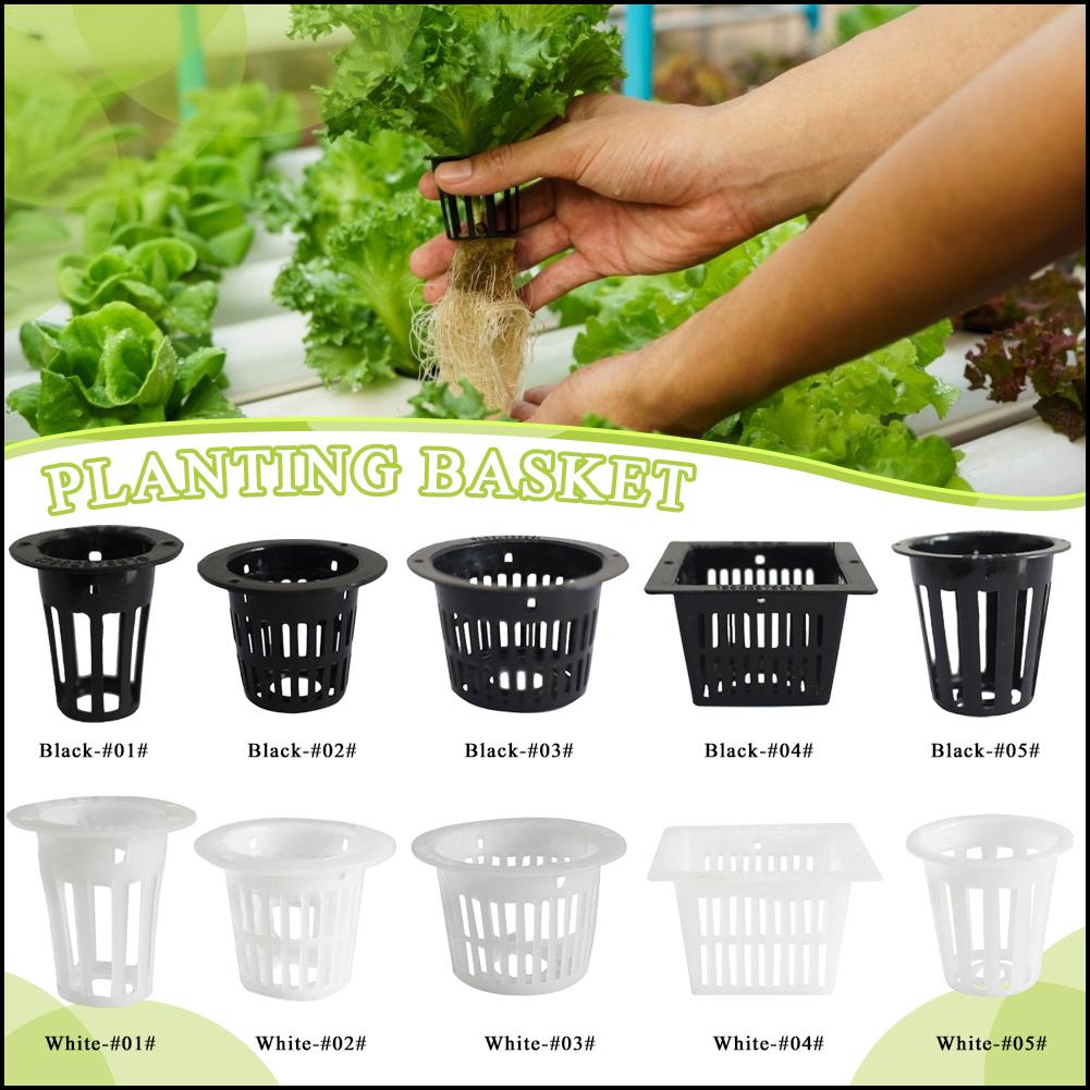 10Pcs Mesh Pot Net Cup Basket Hydroponic System Ga... – Vicedeal