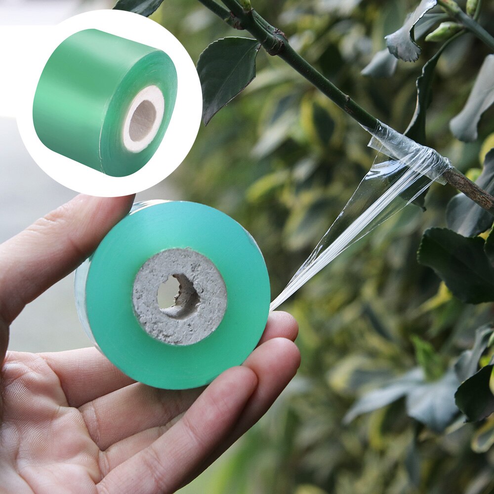 100 M/roll Enten Tape Tuingereedschap Fruit Boom S... – Grandado