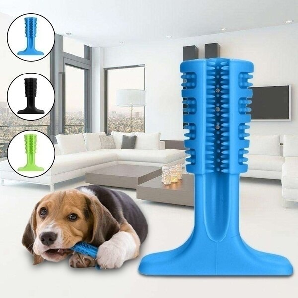 1 Pcs Dierbenodigdheden Hond Tandenborstel Hondenb... – Vicedeal
