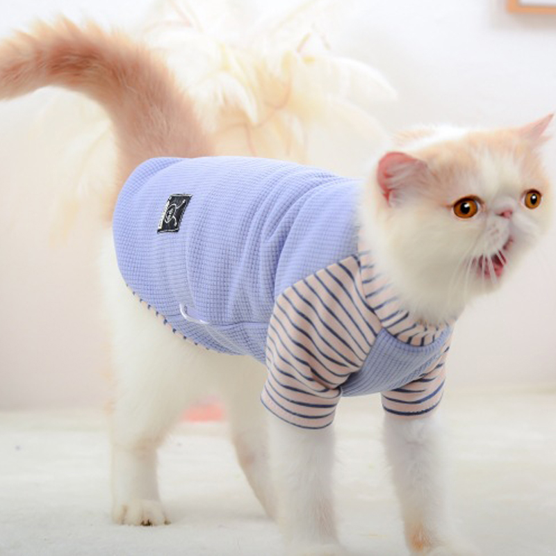 Elastic Cat Clothes Soft Kitten Hoodies Ragdoll Ju... – Grandado
