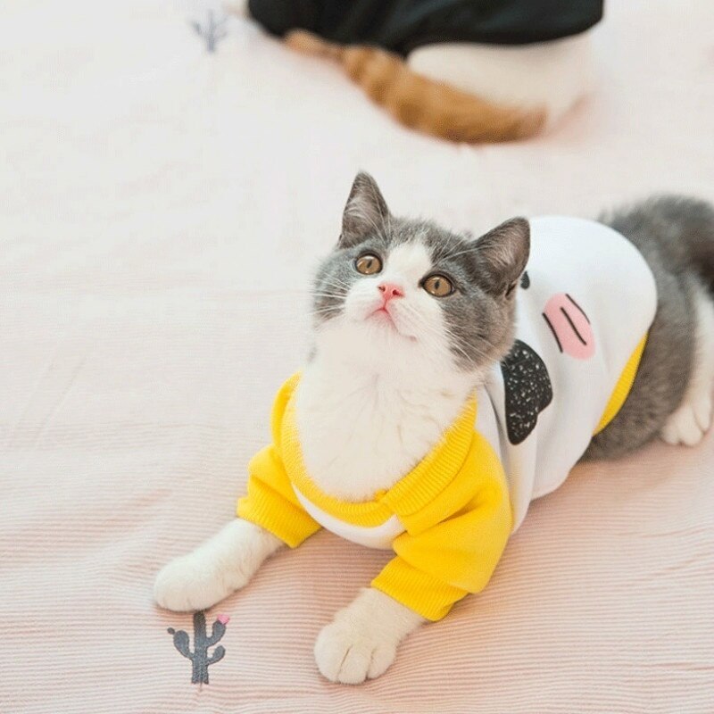Pet Clothing Cat Clothes Cute Funny Cat Sweater Pe... – Vicedeal