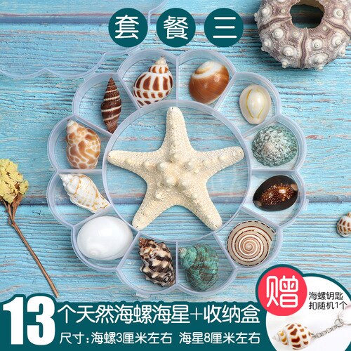 Natuurlijke Shell Schelp Exemplaren Populaire Wete... – Vicedeal