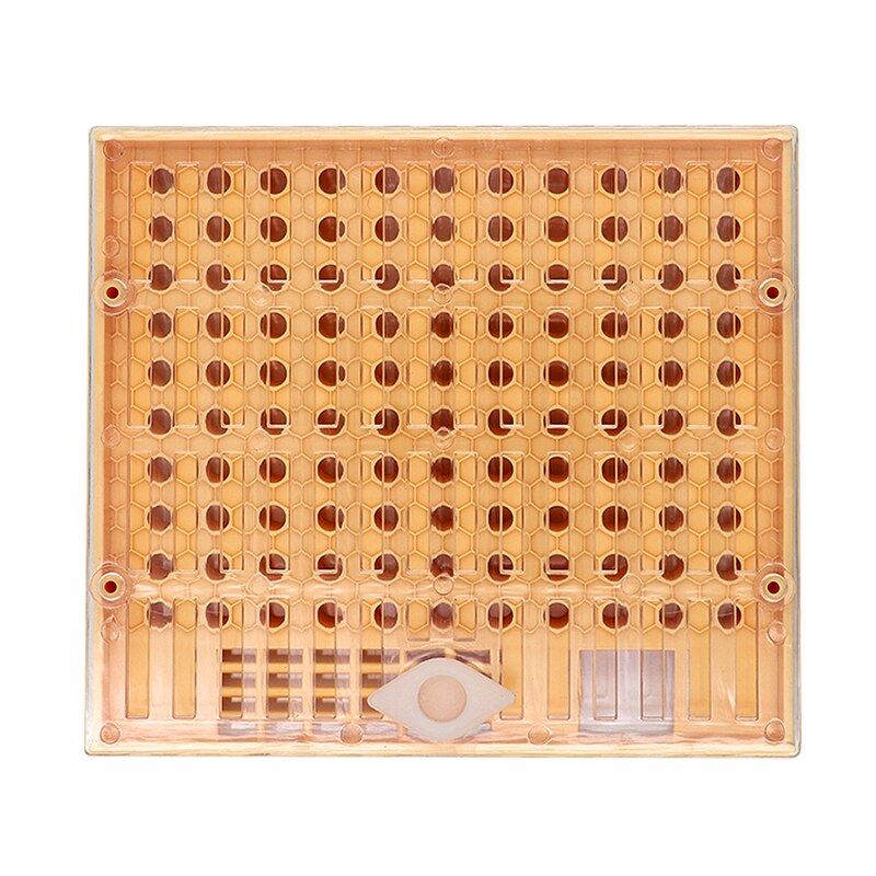 Beekeeping Queen Rearing Cell Cup Kit Equipment Ap... – Grandado