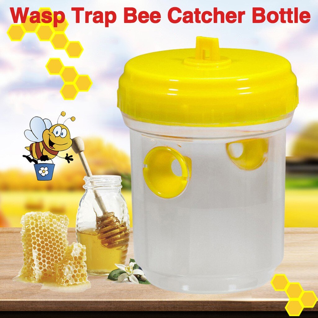 Wasp Trap Yellow Jackets Wasp Repellent Trap Bee C... – Vicedeal