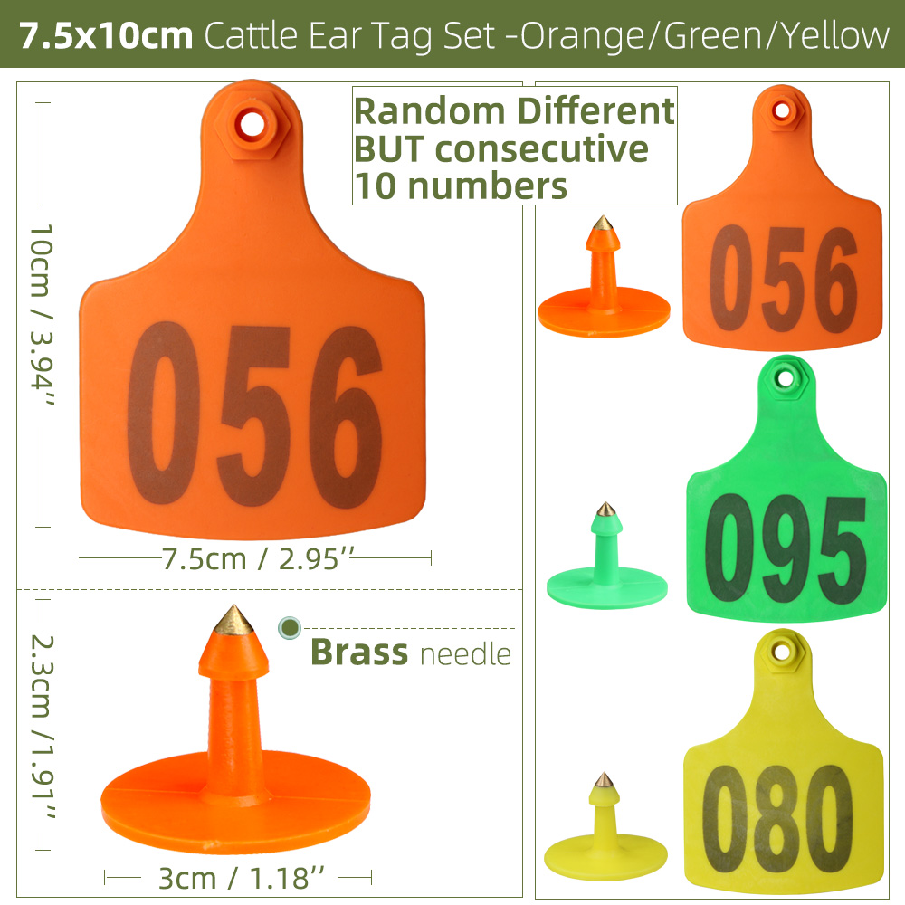 7.5x10CM Different But Consecutive Numbers Cattle ... – Grandado