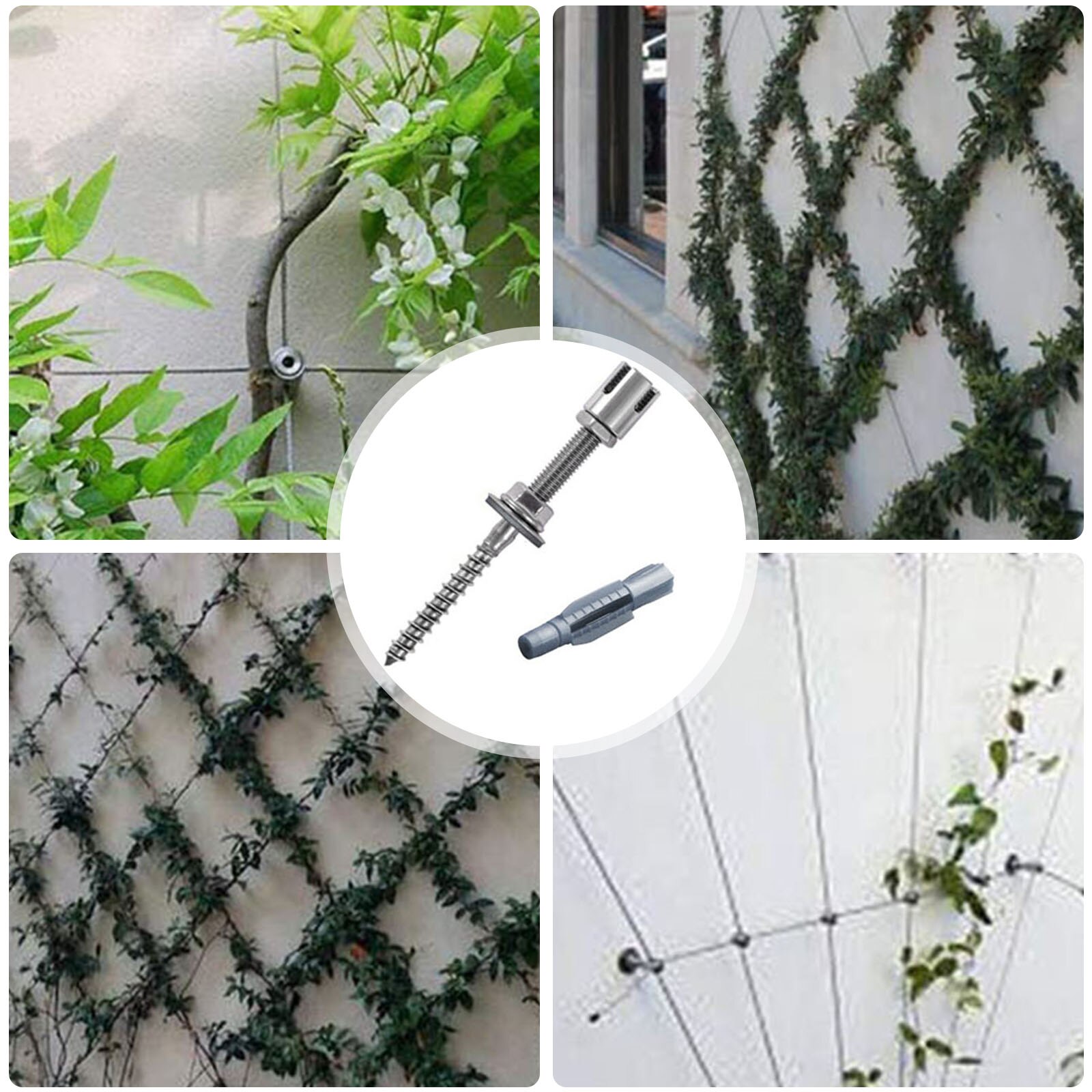 Stainless Steel Trellis Climbing Plants Climbing V... – Grandado
