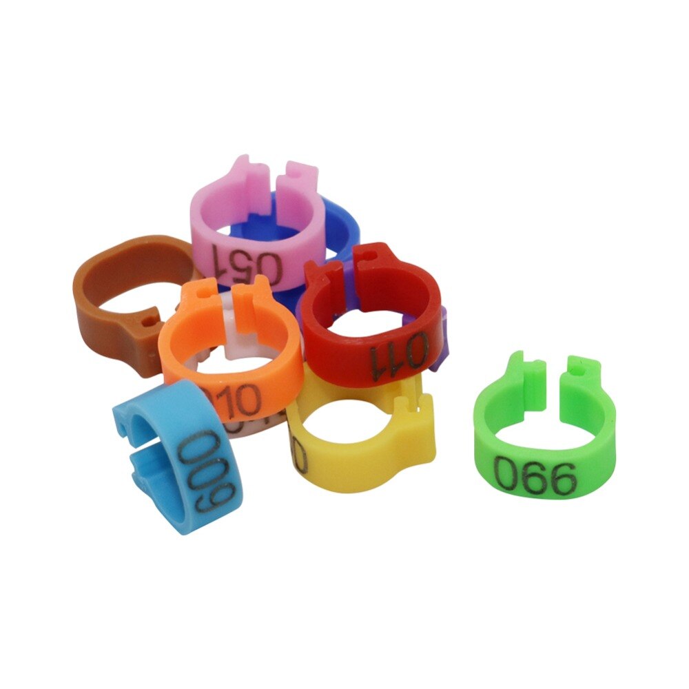 1000 PCS Pigeon Foot Ring Mark Digital Identificat... – Vicedeal