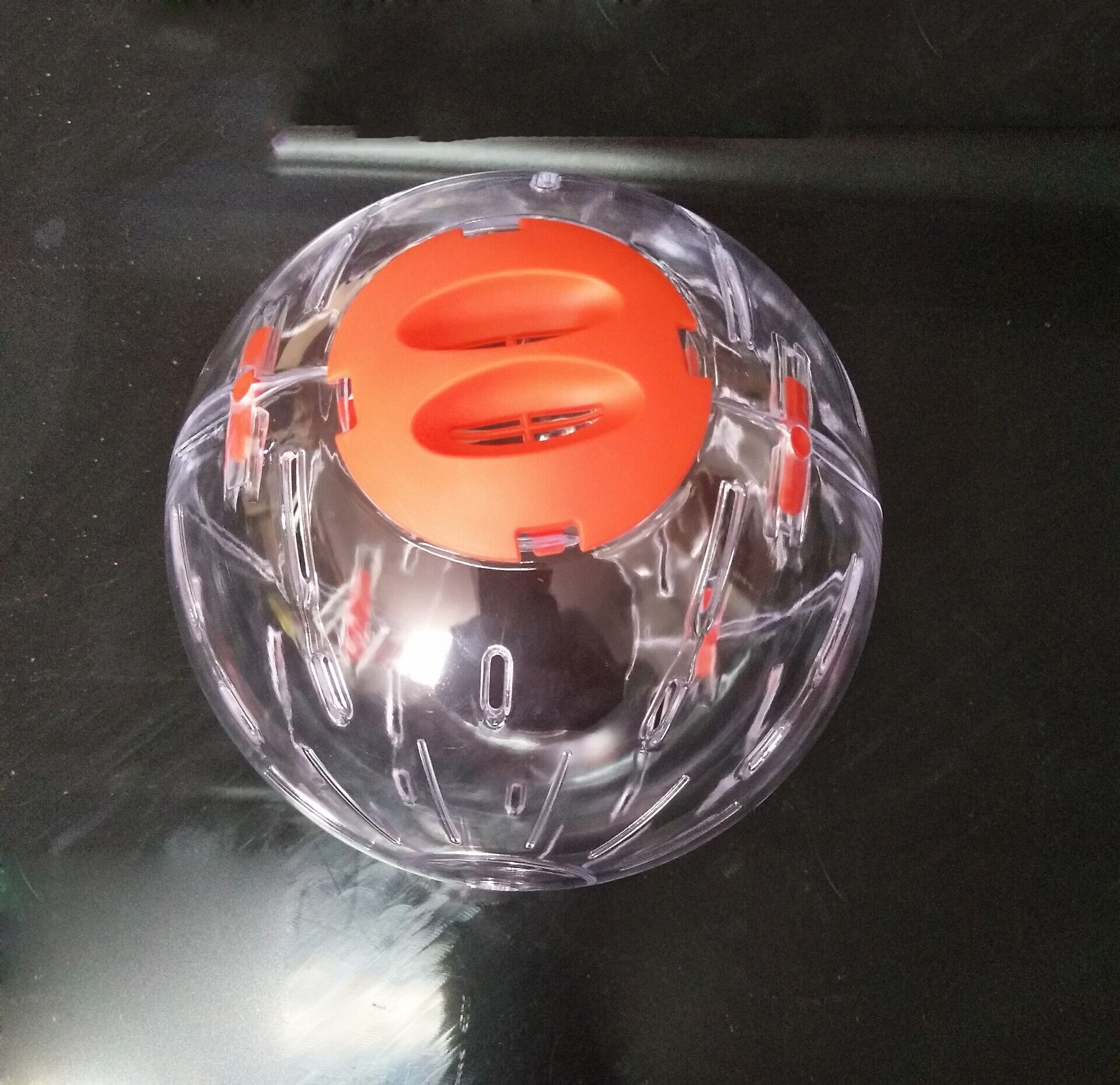 14/16/20 CM Home Pet Funny Running Ball Plastic Gr... – Vicedeal