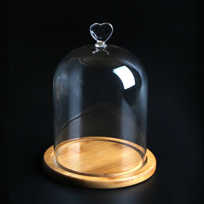 Glass Doll Dome With Bamboo Base For Wedding Party... – Vicedeal