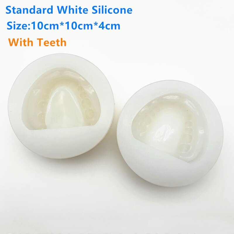 2 Stk/set Dental Gips Model Mold Mould Van Tandelo... – Vicedeal