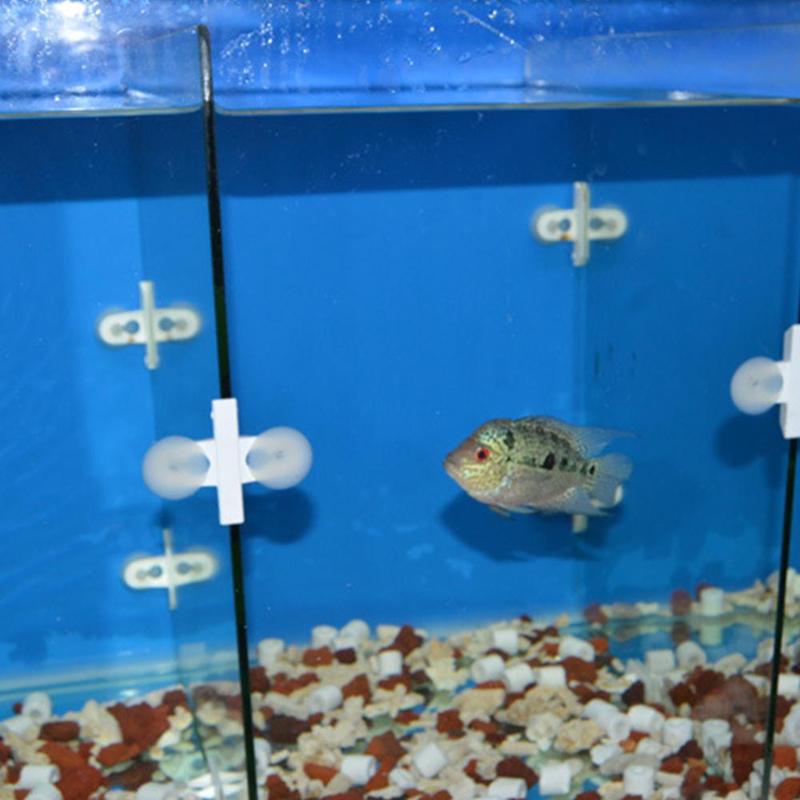 Aquarium Isolatie Klem Zwart Wit Aquarium Vis Vis ... – Grandado