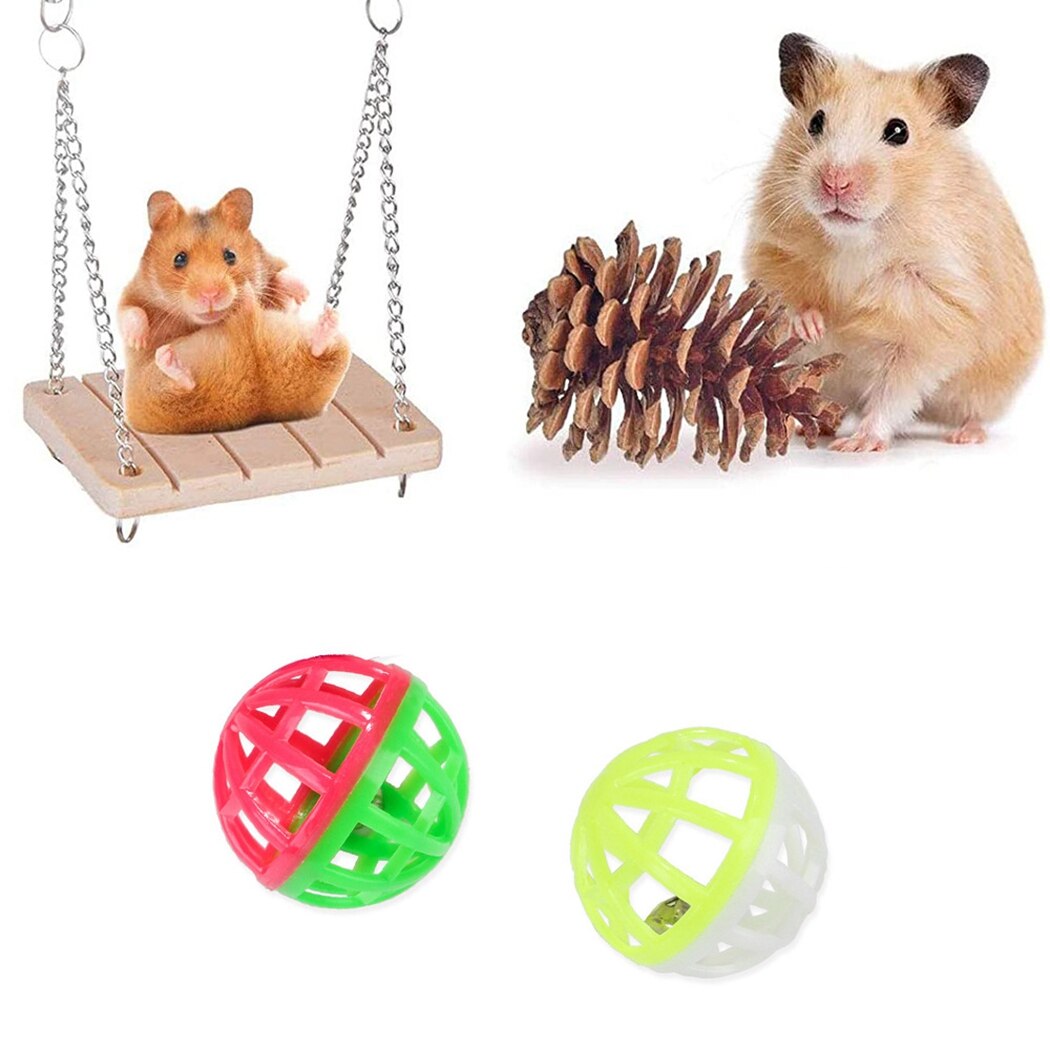 Hamster Chew Toy Interactive 11PCS Practical Hamst... – Vicedeal