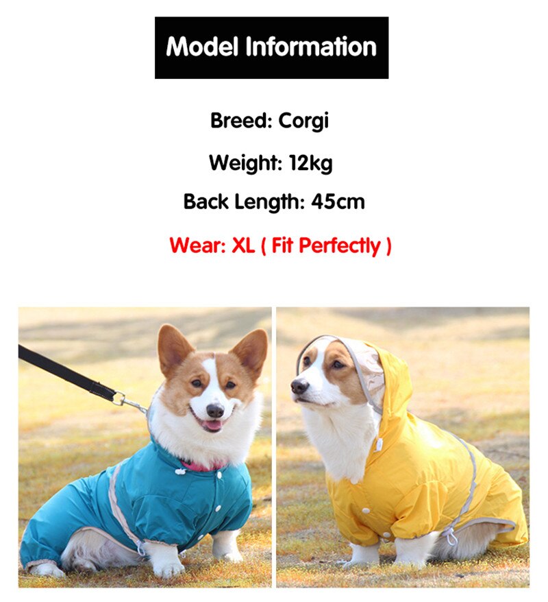 Pet Dog Raincoat for Corgi Dachshund Waterproof Do... – Grandado