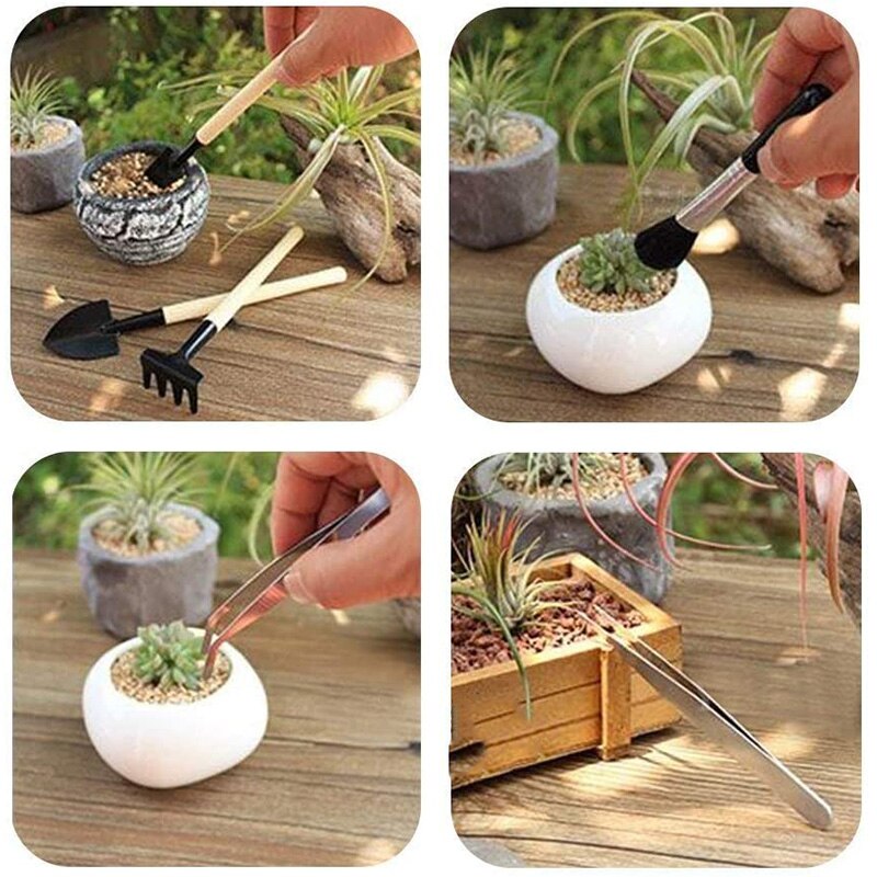 18Pcs Tuin Mini Plant Tool Set Miniatuur Succulent... – Vicedeal