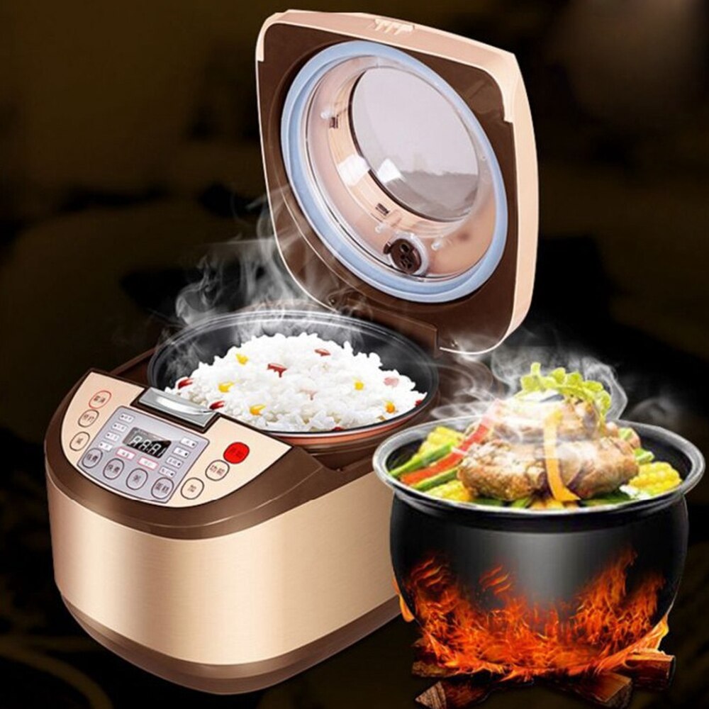 DMWD Transparent Lid 5L Home Intelligent Rice Cook... – Vicedeal