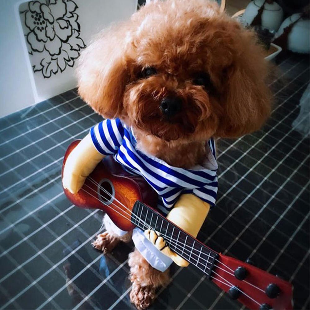 Funny Pet Guitar Rock Singer Cosplay Dog Costume G... – Grandado