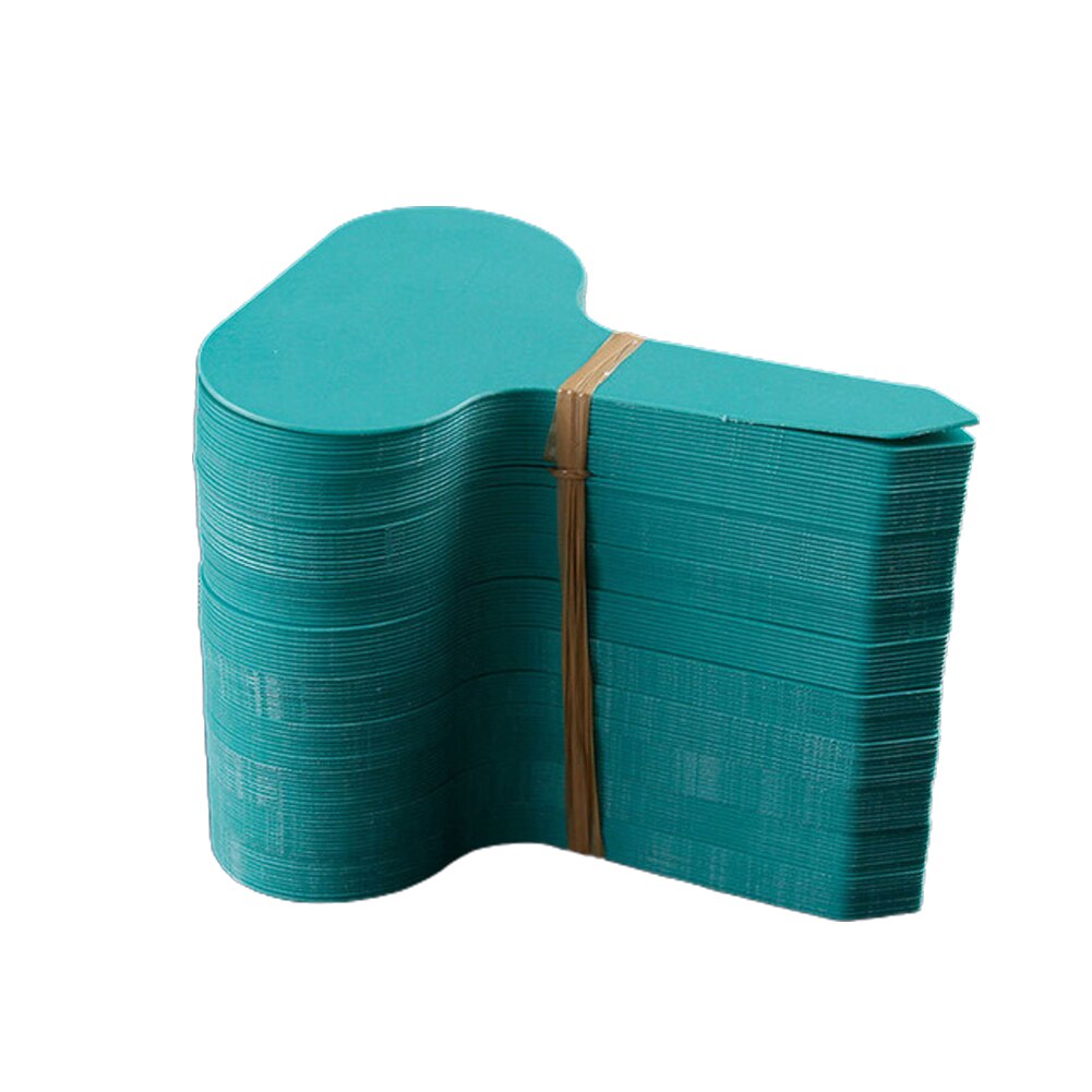 100pcs Flowers Vegetables PVC Sticks T Type Seedin... – Grandado