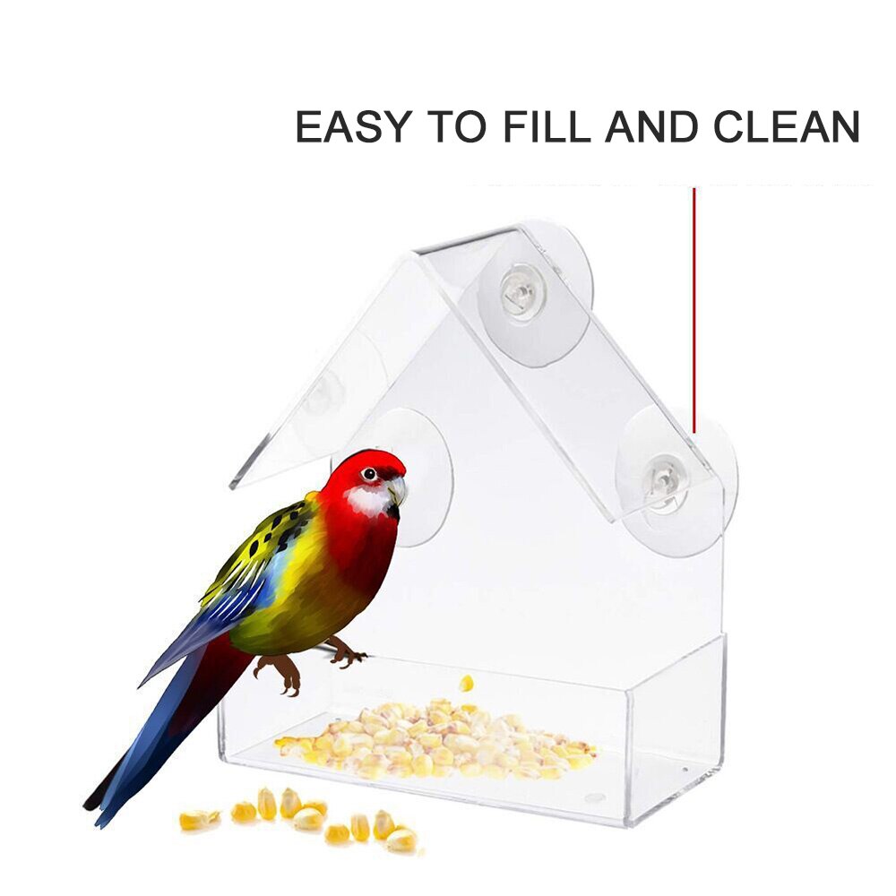 Bird Feeder Window Parrot Food Feeder Bird Feed Bo... – Grandado