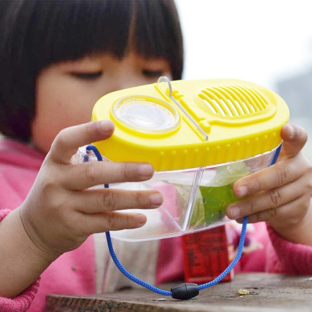 Kids Bug Observation Insect Viewer Magnifier Box E... – Grandado