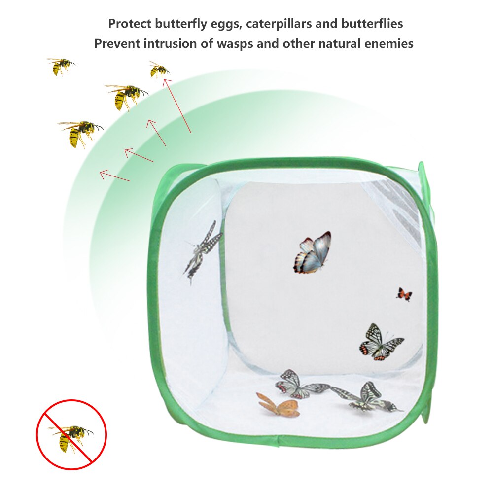 Insect Cage Foldable Butterfly Habitat Mesh Transp... – Grandado