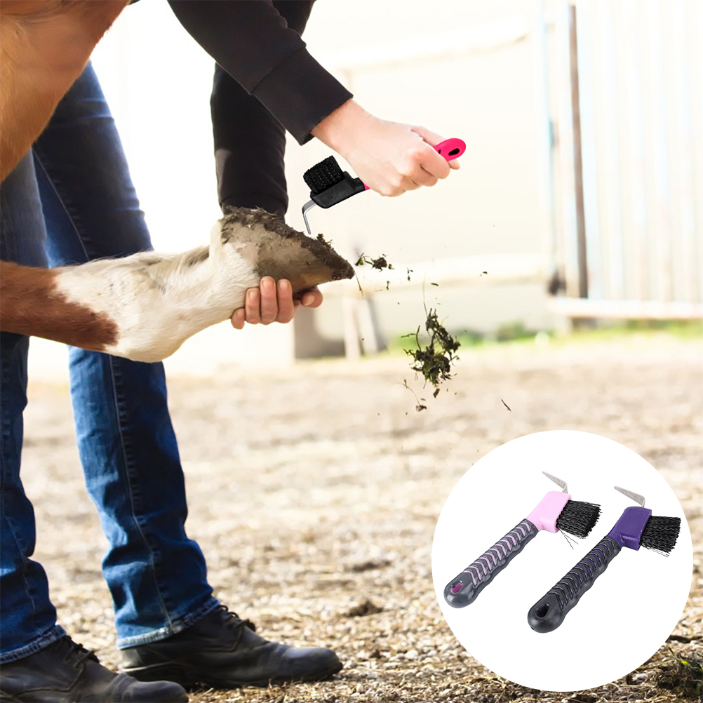 2Pcs Horse Hoof Pick Brushes Horse Hoof Cleaning B... – Grandado
