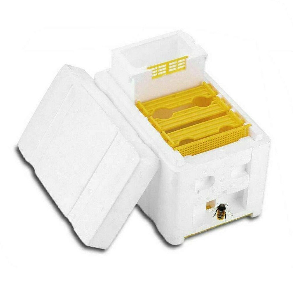 Hive Box Harvest Beehive Pollination Beekeeping Fo... – Vicedeal